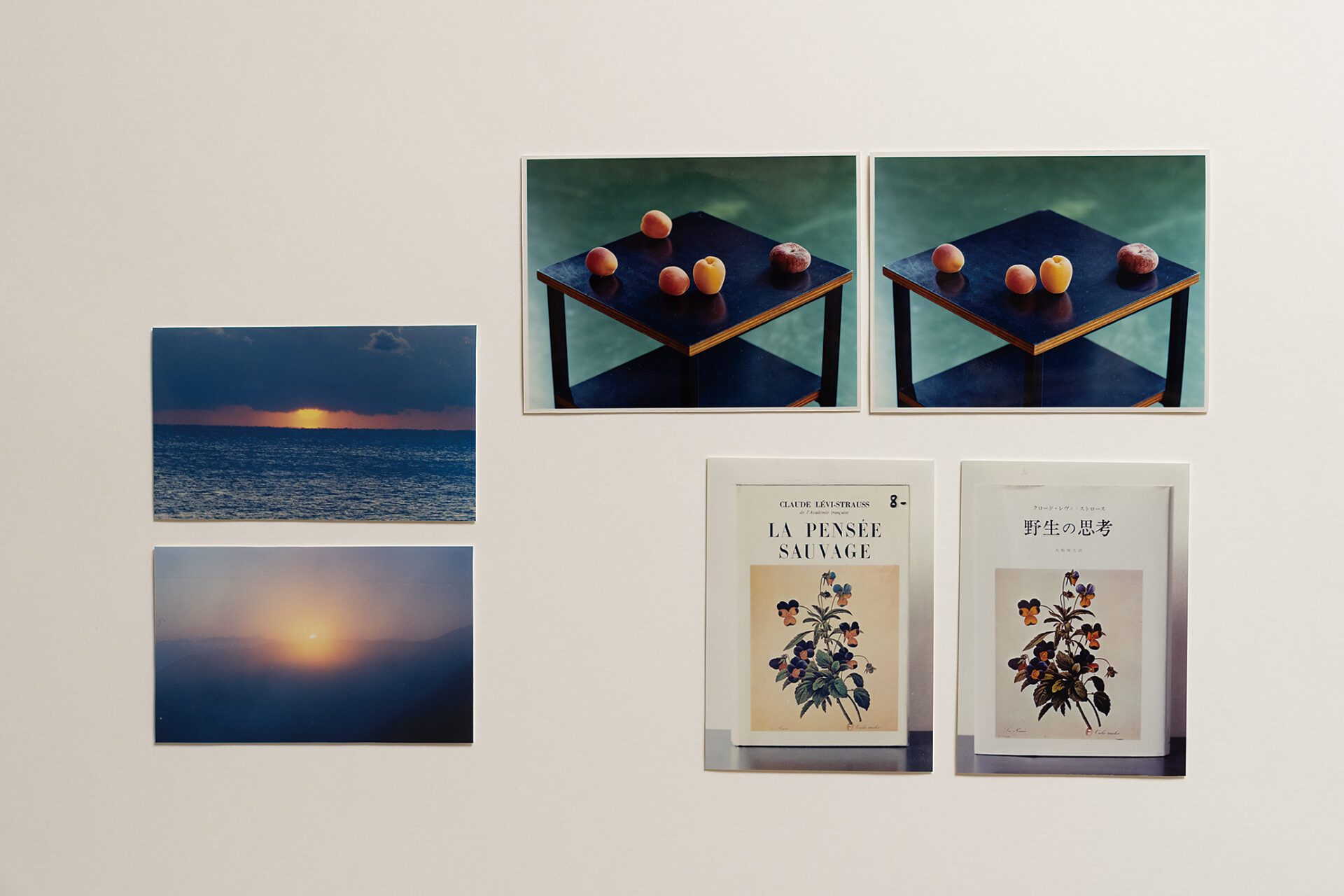 【Exhibition】Chidori Bunka | Events | ART OSAKA 2024