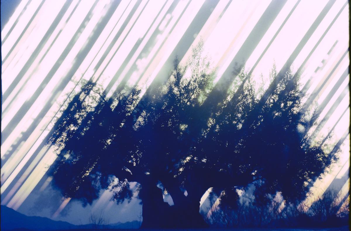 MEM – Tokyo | Galleries Section | ART OSAKA 2024